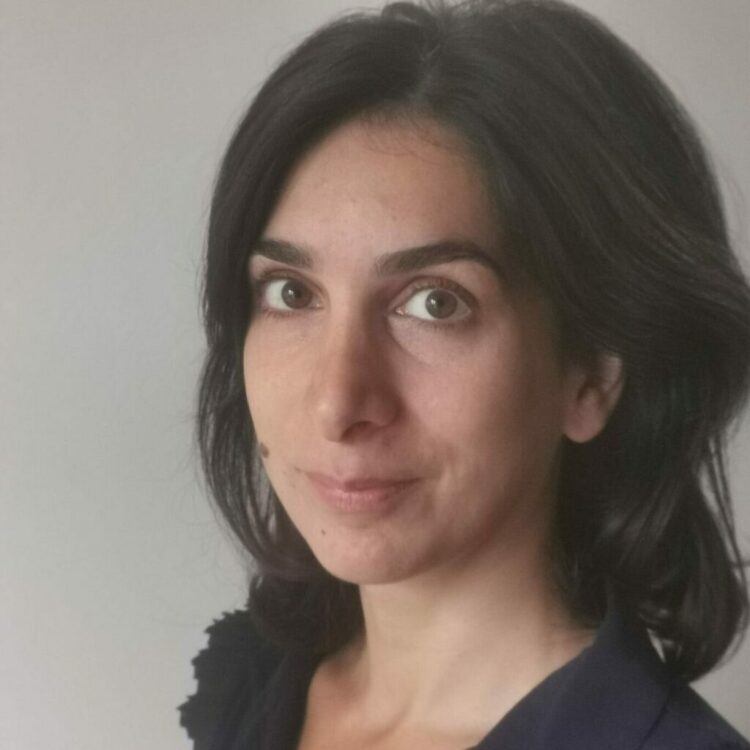 Armenia and the West: Reassessing the Relationship - EVN Report