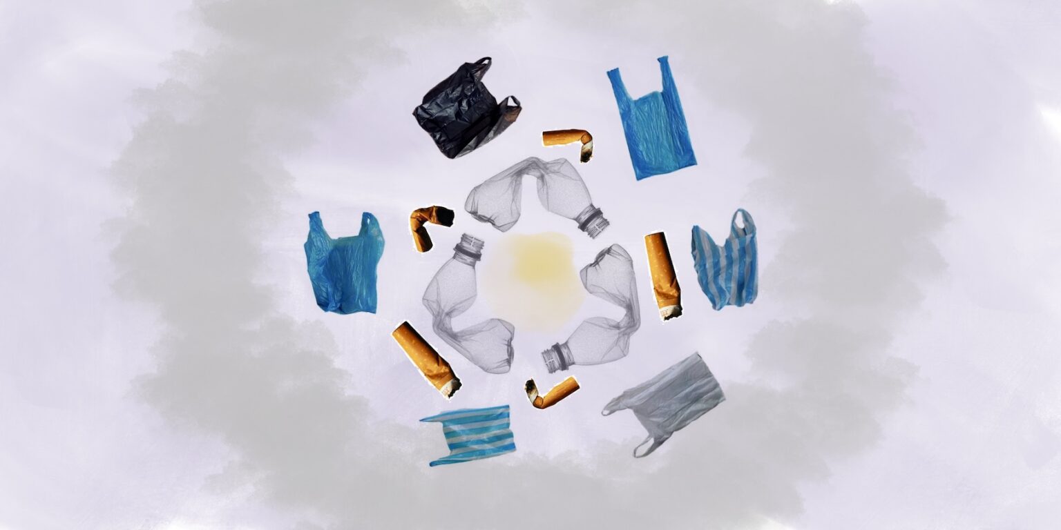 Issue N21 - EVN Report