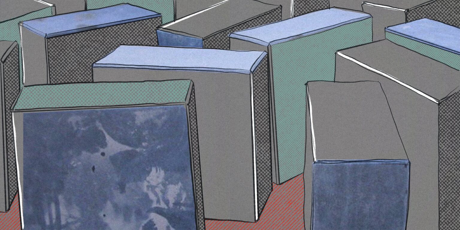 Reinterpreting Our Medieval Cemeteries - EVN Report