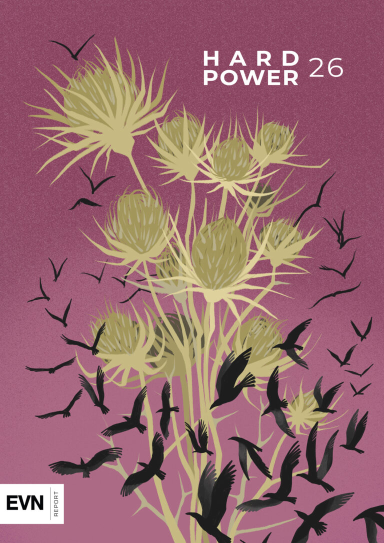 Hard Power and Its Limits - EVN Report