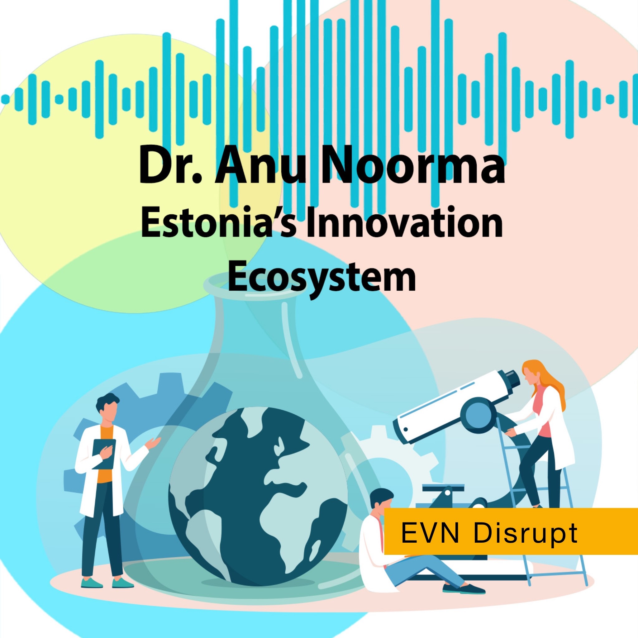 Dr. Anu Noorma: Estonia’s Innovation Ecosystem - EVN Report