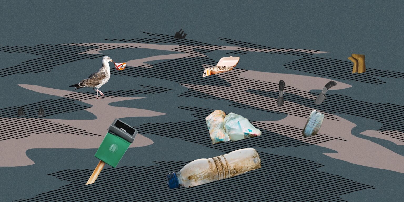 Resolving the Unresolved Issue of Garbage - EVN Report