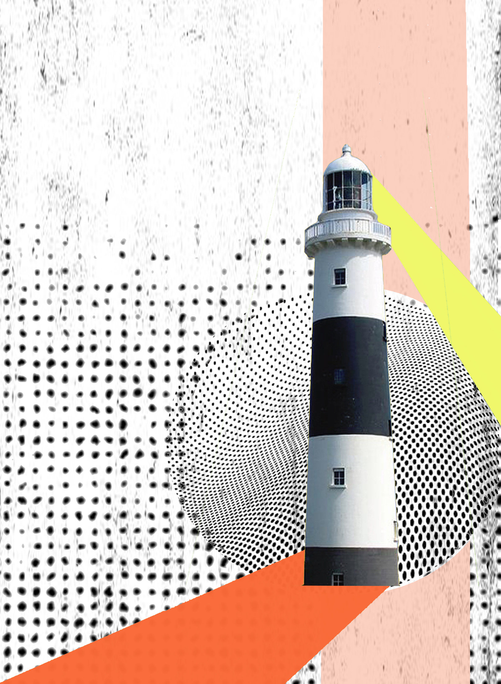 Following the Irish Model - EVN Report