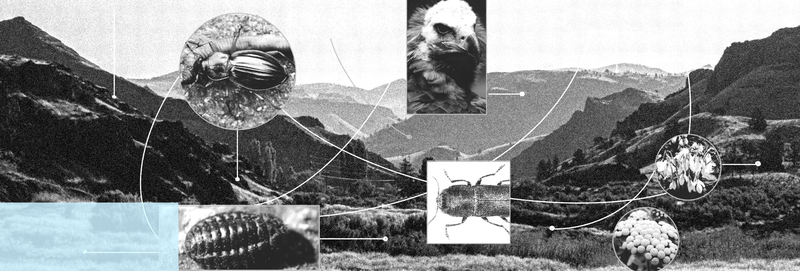 January on View 2026 - EVN Report